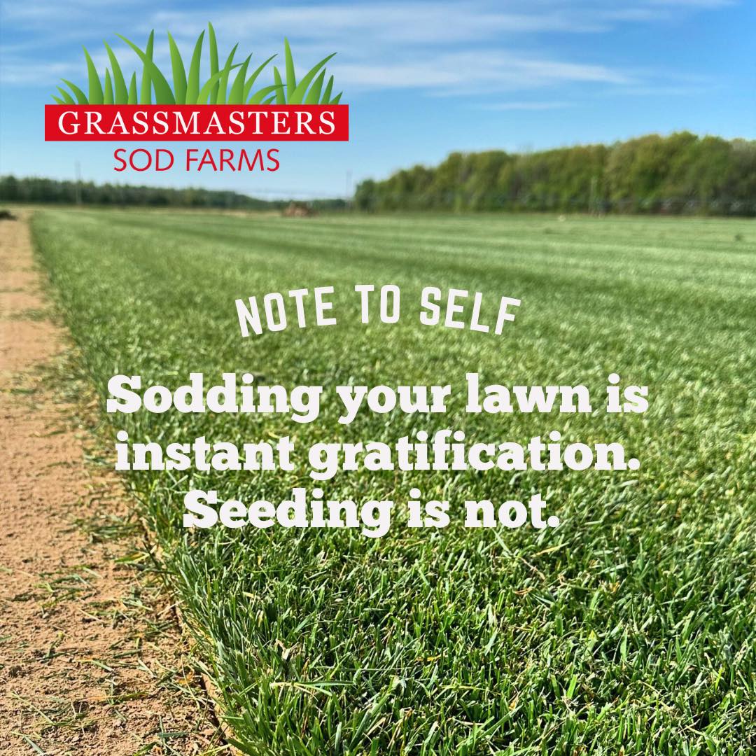 Grassmasters Sod Farms