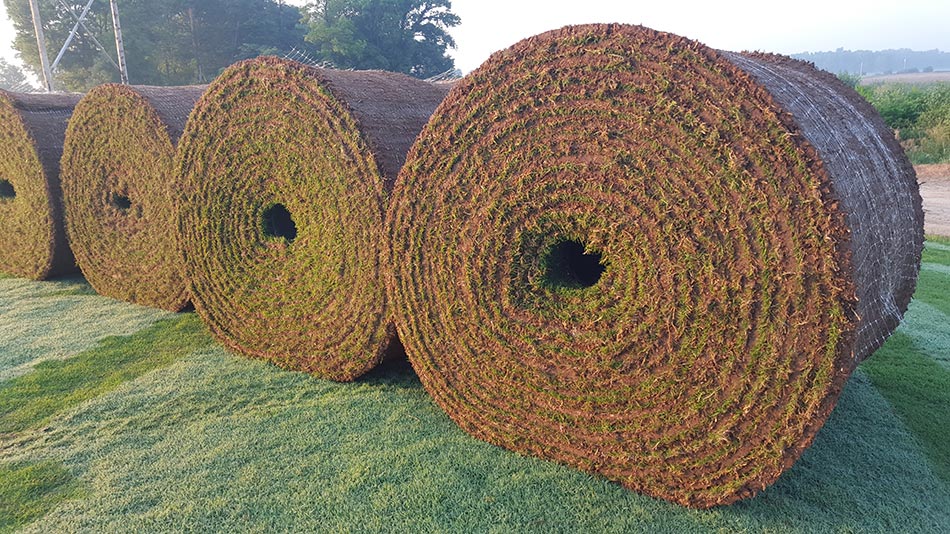 Project Gallery | Grassmasters Sod Farms